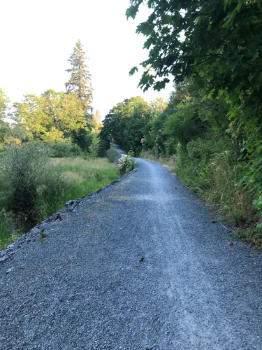 10 Best Trails and Hikes in Duncan | AllTrails