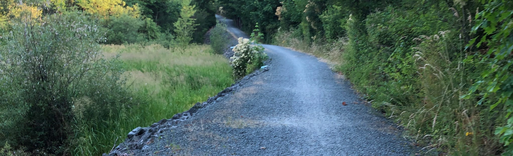 Friendship Trail, British Columbia, Canada - 36 Reviews, Map | AllTrails