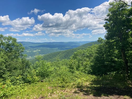 Best Hikes and Trails in Taconic Ridge State Forest | AllTrails
