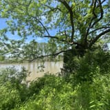 Huron River Path MetroPark, Ohio - 81 Reviews, Map | AllTrails