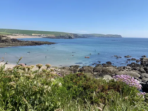 10 Best Trails, Walks, and Paths in Kingsbridge | AllTrails