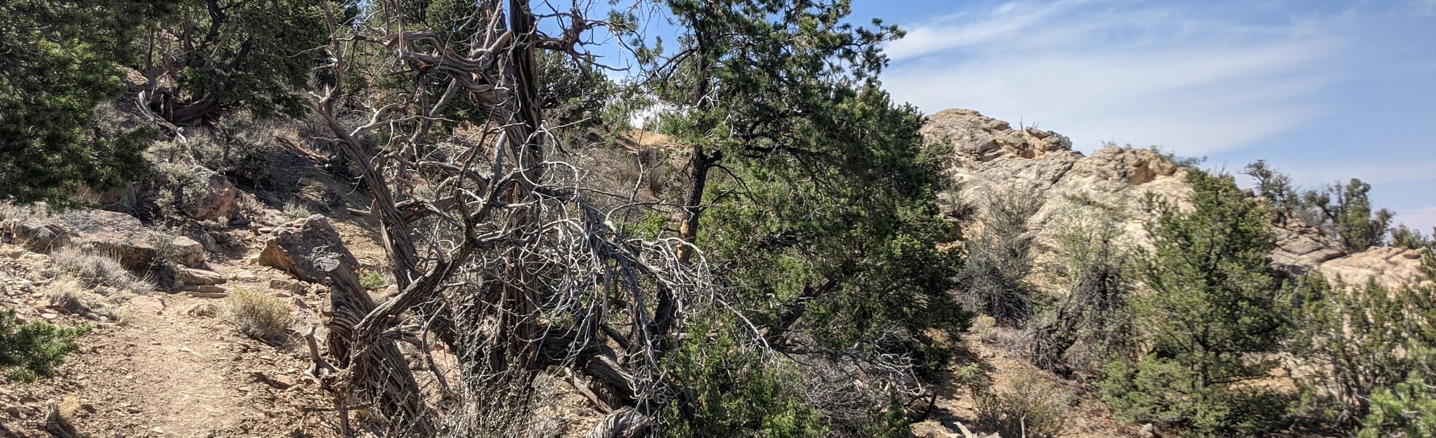 Jagged Edge North Hogback Loop: 57 foto's - New Mexico | AllTrails