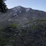 Provo Peak from Slate Canyon, Utah - 65 Reviews, Map | AllTrails