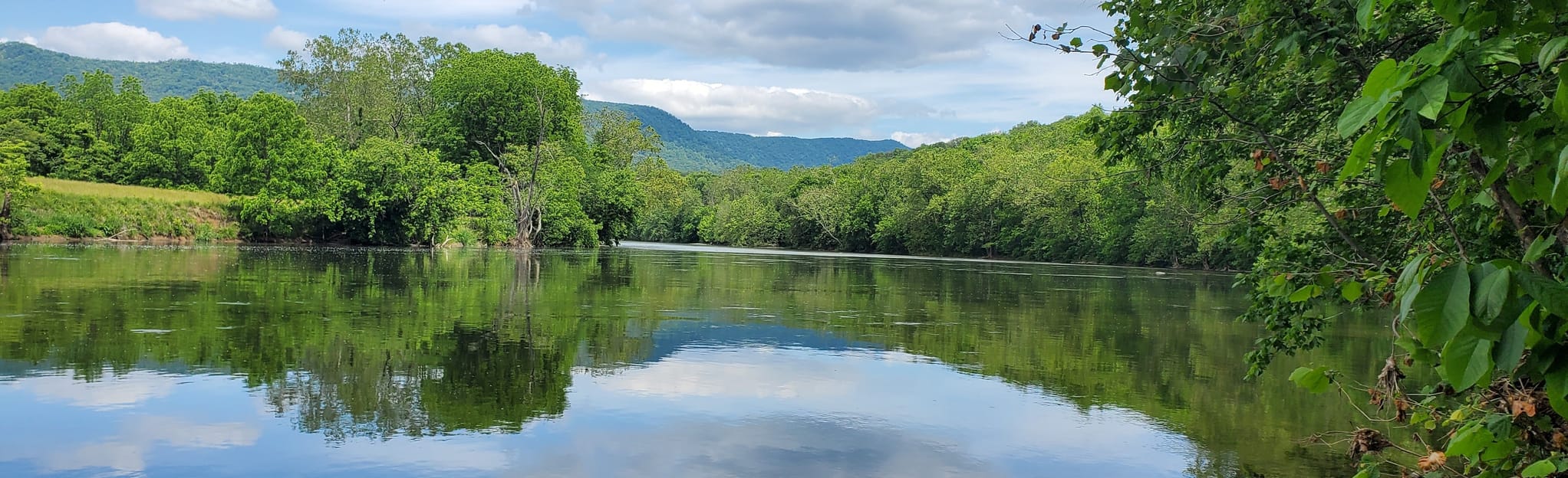 Hemlock Hollow, Bluebell and Overlook Trail Loop, Virginia - 545 ...