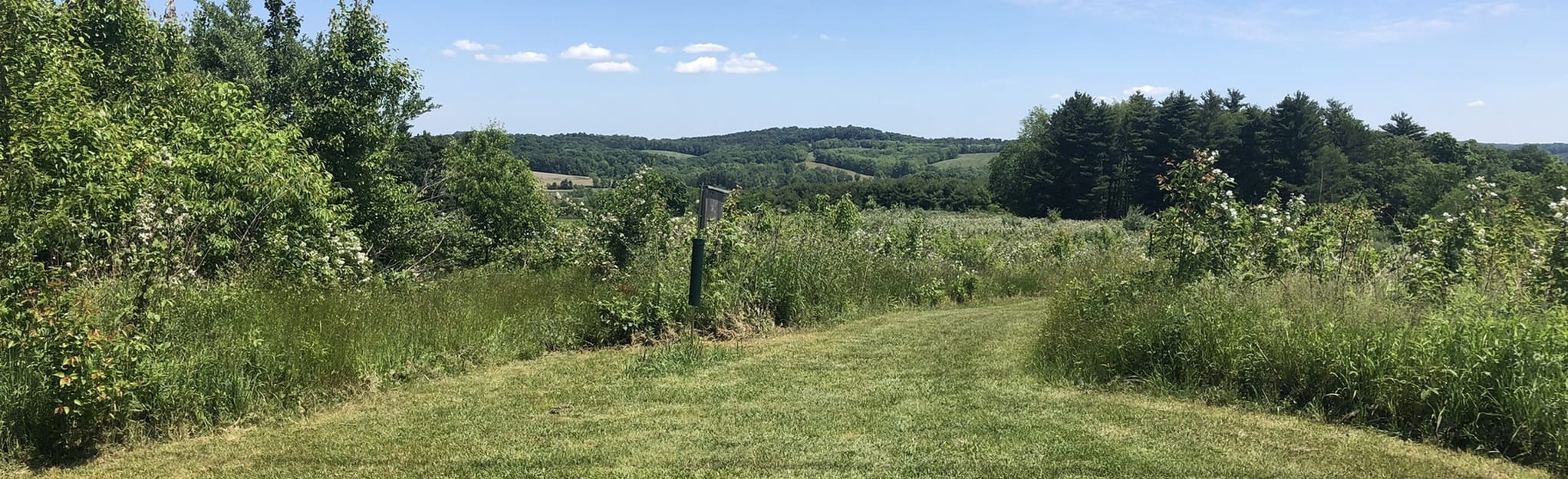 Pine Knob and Prairie Trails Loop - Ohio | AllTrails