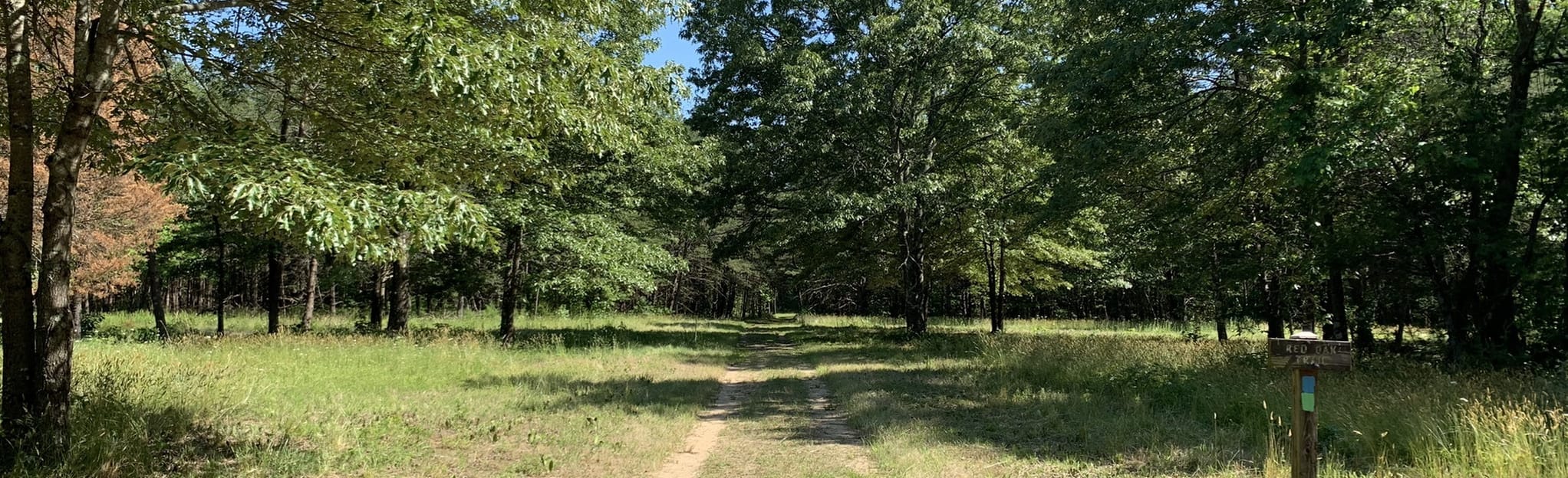 Beaver Rock Trail Loop: 43 Reviews, Map - Maryland | AllTrails