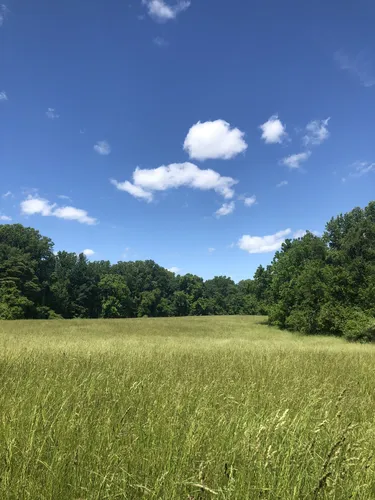 Best Hikes and Trails in Middle Run Valley Park | AllTrails