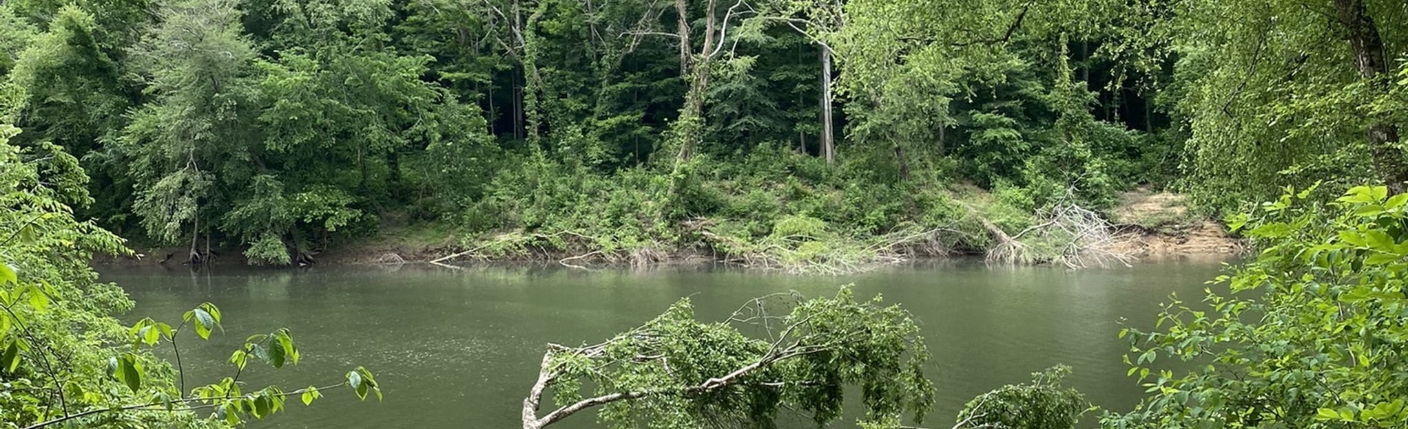 Princess Falls via Sheltowee Trace Trail : 514 Reviews, Map - Kentucky ...