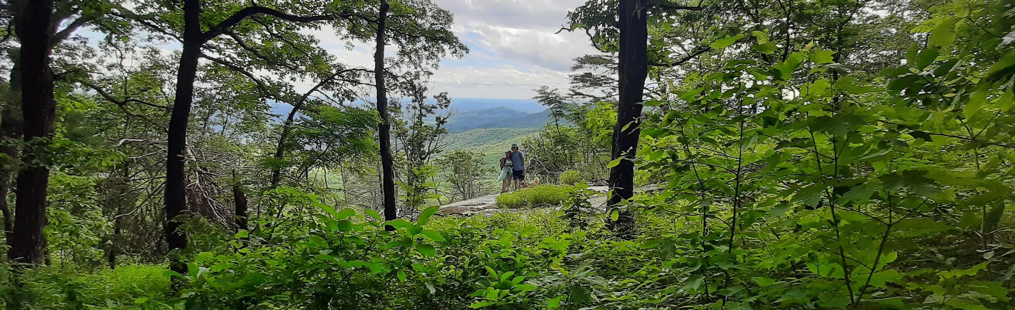 Sassafras Mountain to Pinnacle Lake: 217 Reviews, Map - South Carolina ...