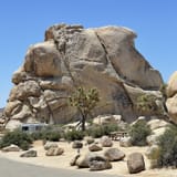 Turtle Rock Loop, California - 76 Reviews, Map | AllTrails
