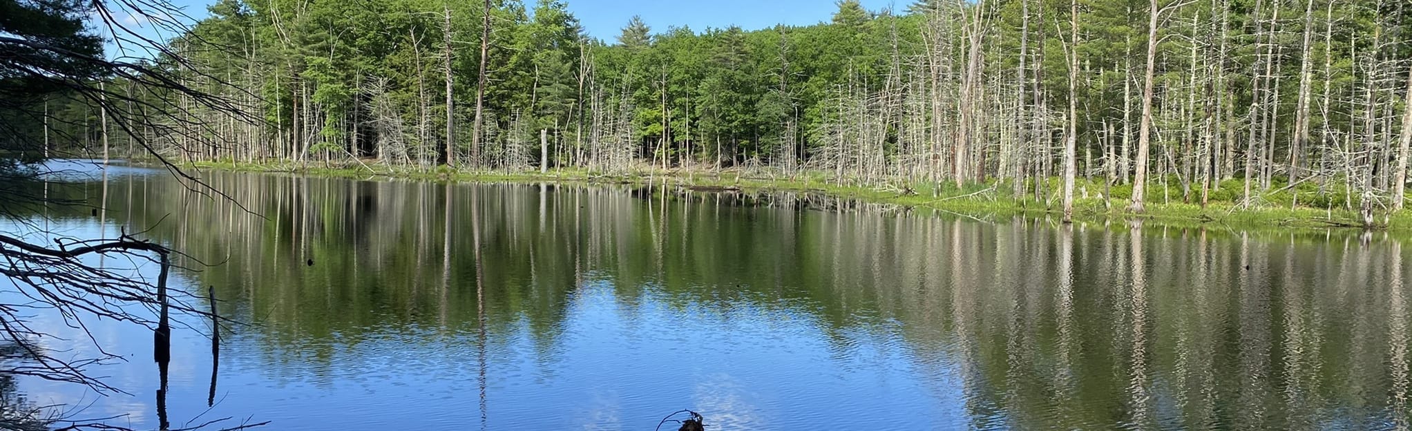 Onteora Lake Trail, New York - 542 Reviews, Map | AllTrails