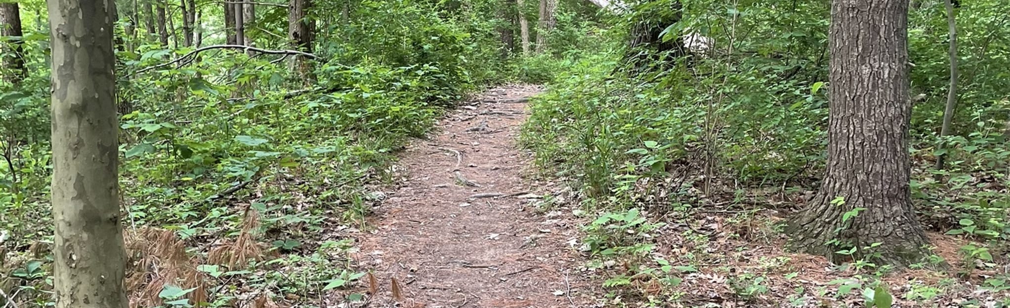 Fowler Park Loop, Indiana - 27 Reviews, Map | AllTrails