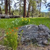 Round Mountain from South Trailhead, Oregon - 34 Reviews, Map | AllTrails