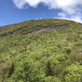 Fork Ridge Trail to Tennent Mountain, North Carolina - 42 Reviews, Map ...