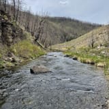 Strawberry River, Utah - 65 Reviews, Map | AllTrails