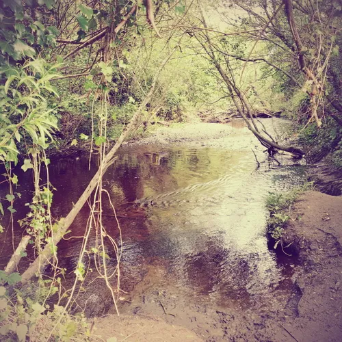 Best Hikes and Trails in Dodder Valley Park | AllTrails