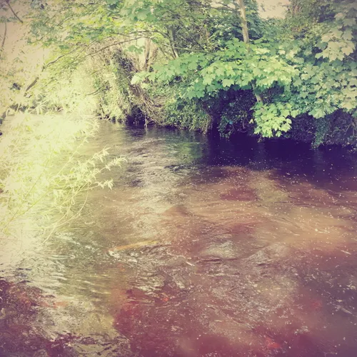 Best Hikes and Trails in Dodder Valley Park | AllTrails