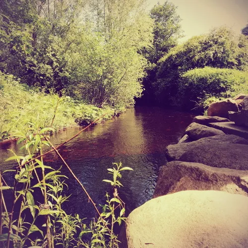 Best Hikes and Trails in Dodder Valley Park | AllTrails