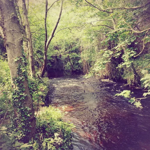 Best Hikes and Trails in Dodder Valley Park | AllTrails