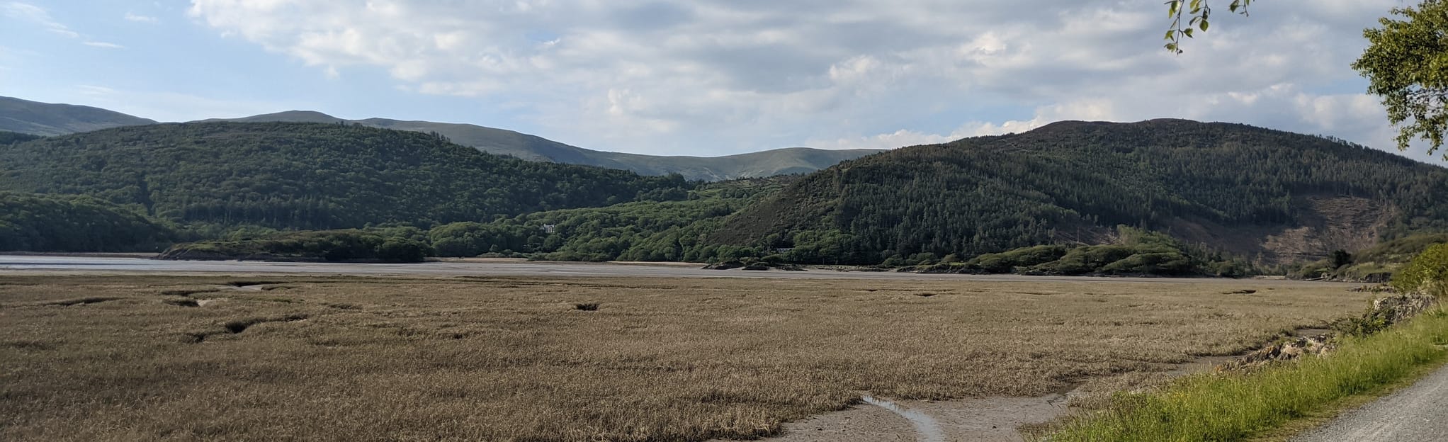 Lon Mawddach (Mawddach Trail): 58 Reviews, Map - Gwynedd, Wales | AllTrails