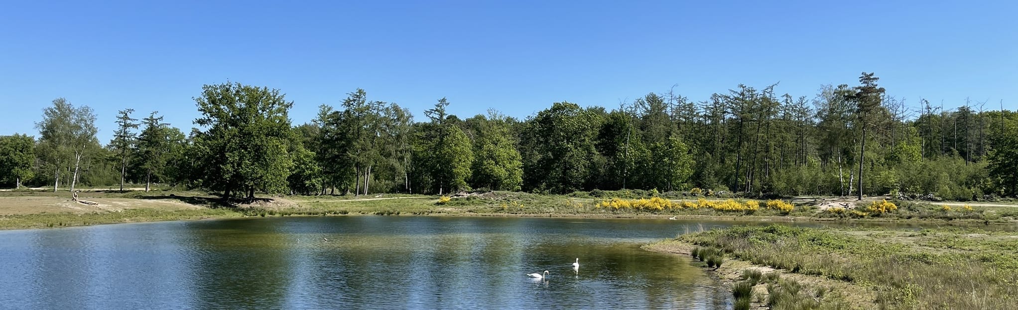 Dorst - Bossen - Surae: 67 foto's - Noord-Brabant, Nederland | Wandelen ...