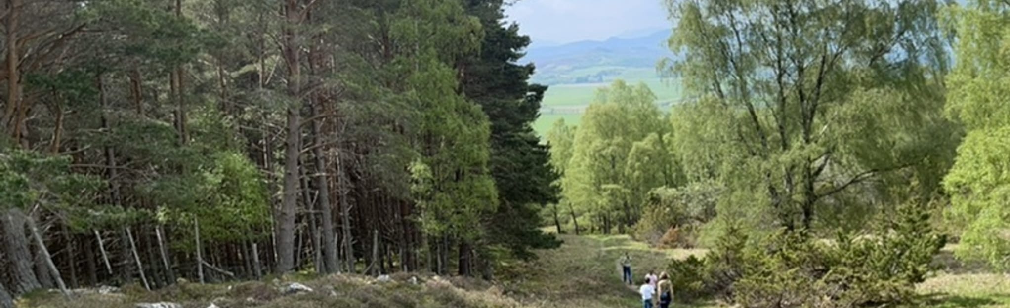 West Terrace Circular, Kingussie., Highlands, Scotland - 22 Reviews ...