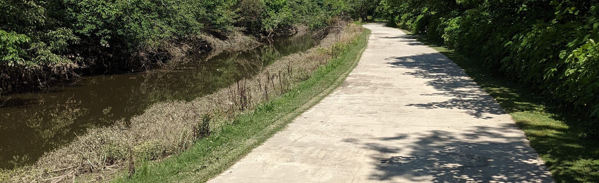 Dawson Creek Trail Loop, Louisiana - 129 Reviews, Map | AllTrails