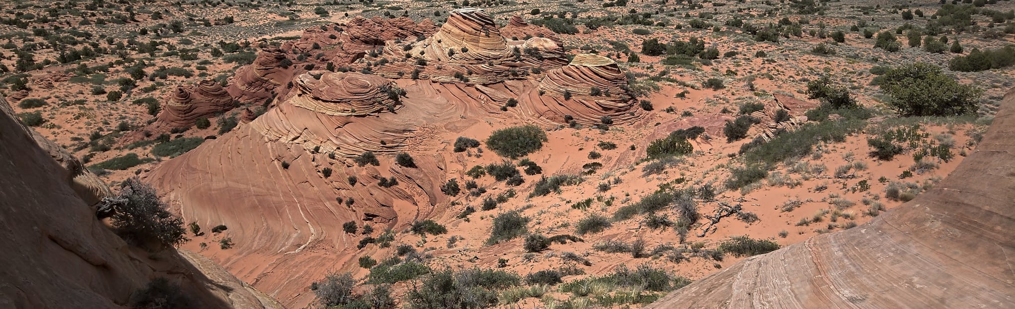 Coyote Buttes South from Cottonwood Teepees Trailhead | Map, Guide ...