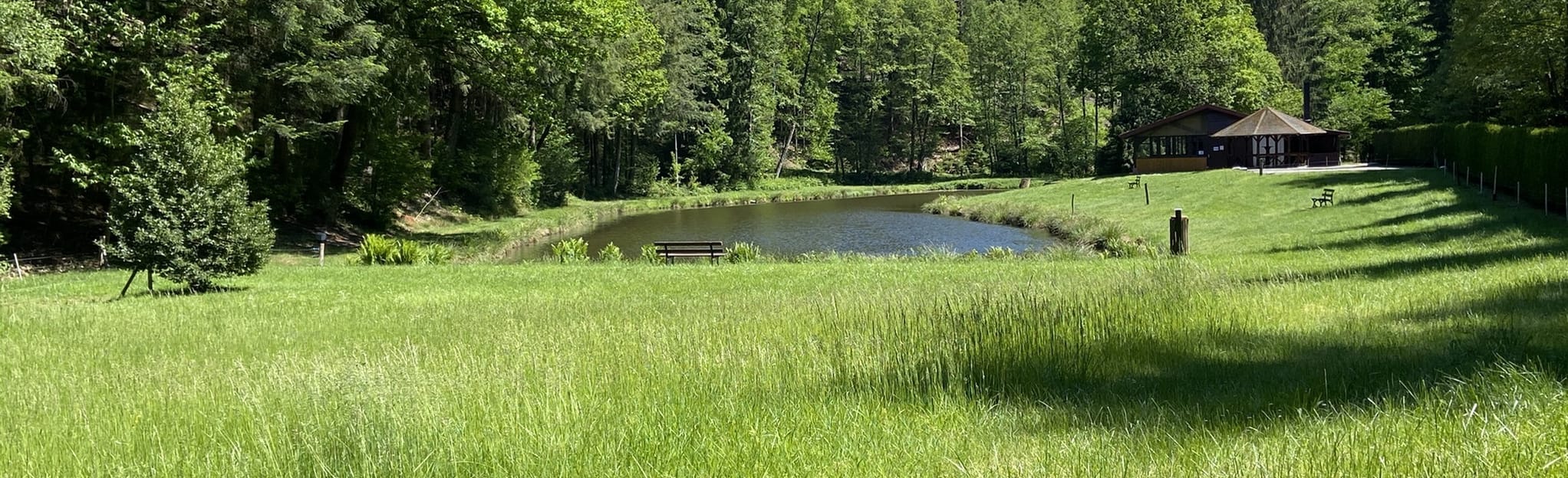 Château de Hunebourg- Vorderkopf - Étang de Neumuehle | Map, Guide ...