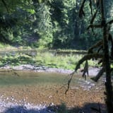 River Bend County Park Loop, Oregon - 21 Reviews, Map | AllTrails