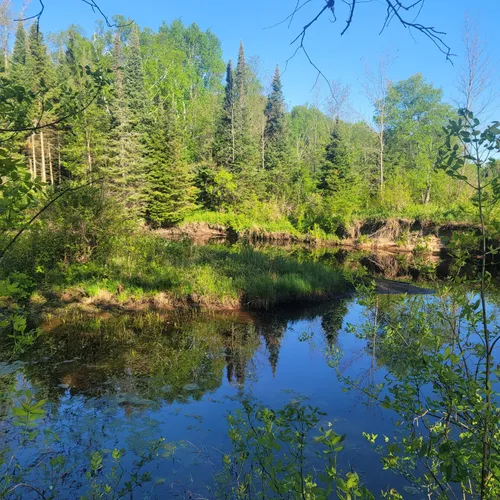 10 Best Hikes and Trails in Escanaba River State Forest | AllTrails