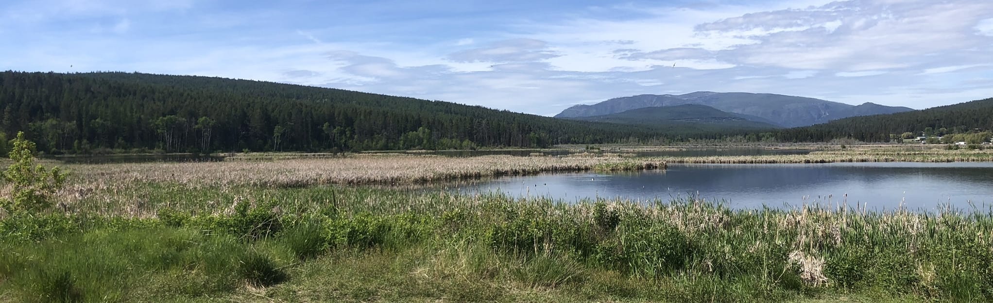 Elizabeth Lake Trail: 40 Reviews, Map - British Columbia, Canada ...