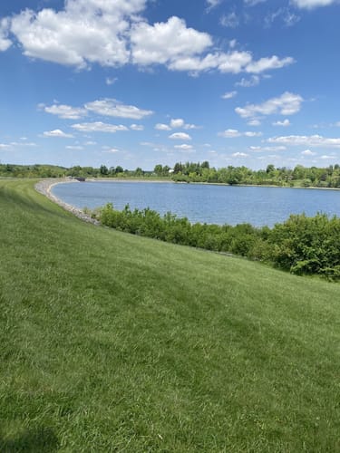 Best Hikes and Trails in Guelph Lake Conservation Area | AllTrails