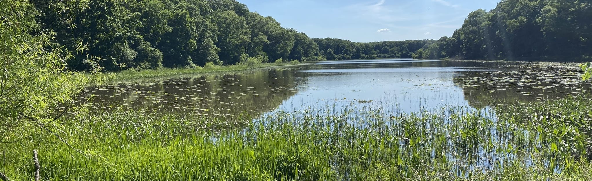 Little Red Schoolhouse Nature Center to Palos Trail System: 157 Reviews ...