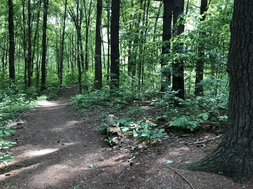 10 Best Hikes and Trails in Pokagon State Park | AllTrails
