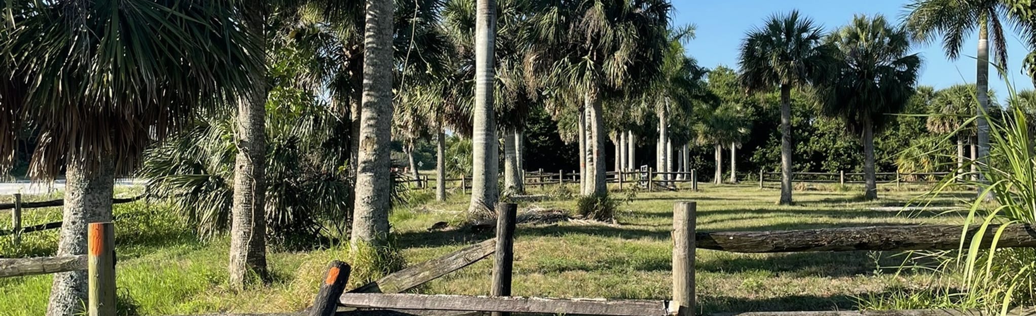 Port Mayaca, Florida - 5 Reviews, Map | AllTrails