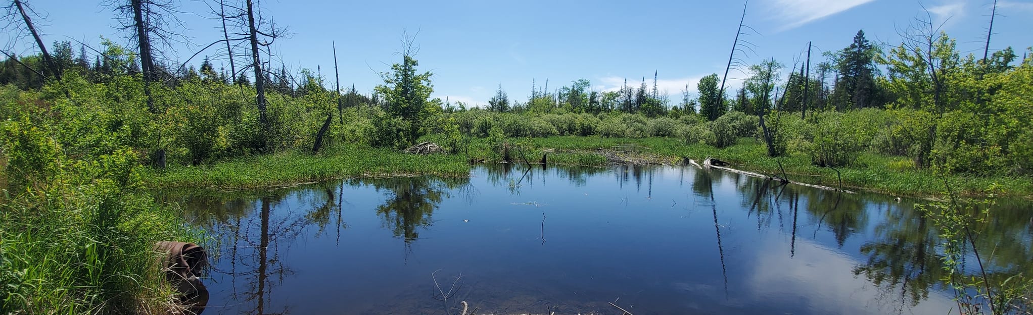 Rideau Trail: Munster to Roger Stevens: 15 Reviews, Map - Ontario ...