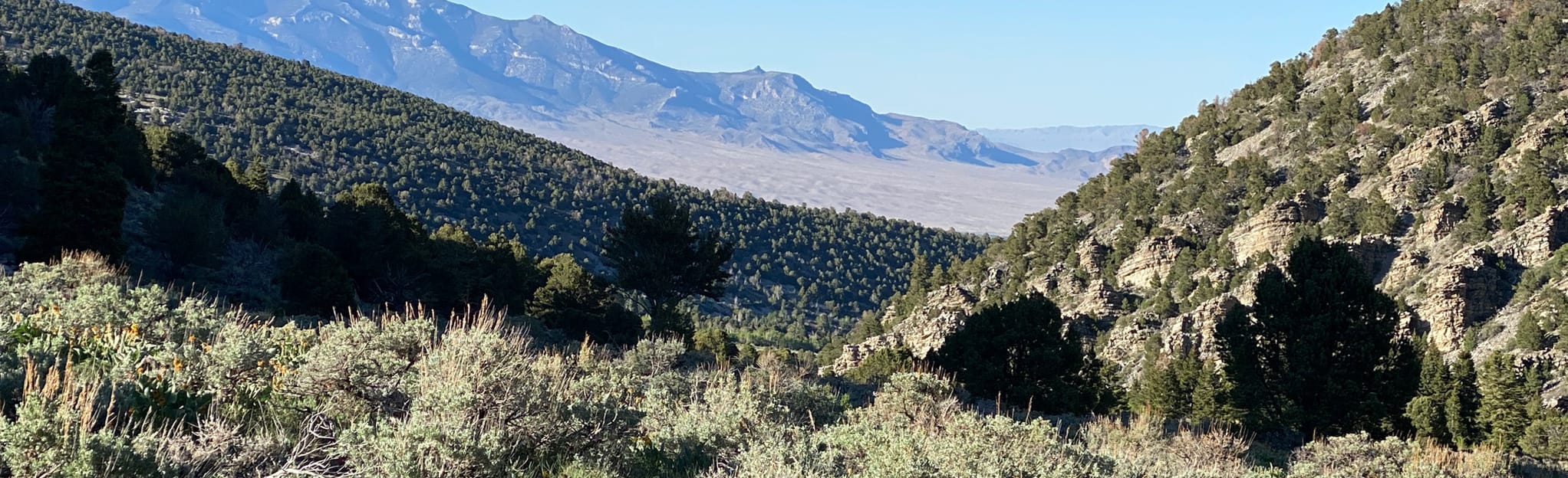 Baker Creek Loop: 114 Reviews, Map - Nevada | AllTrails