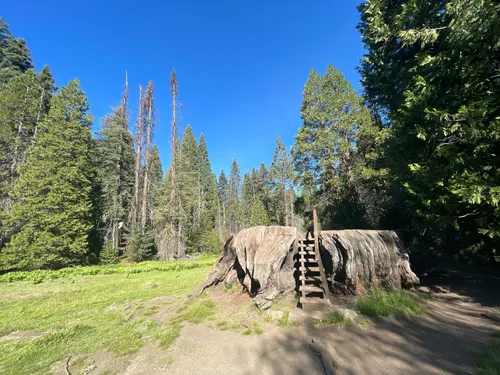 Best Historic Site Trails in Cedar Grove | AllTrails