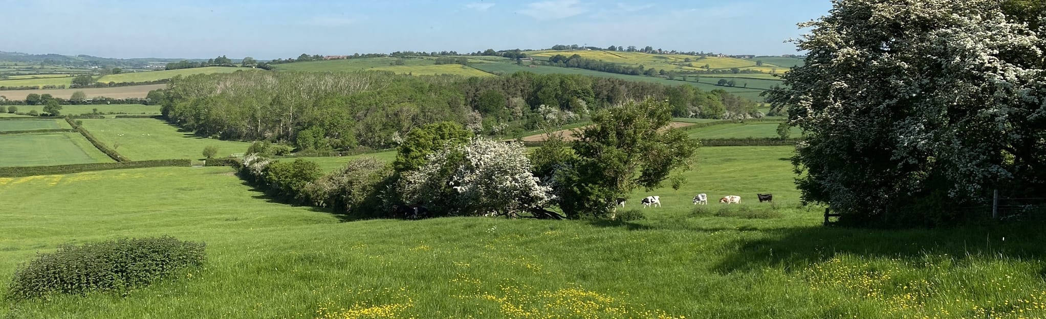 Waddesdon, Cuddington and Chearsley Circular: 7 Reviews, Map ...