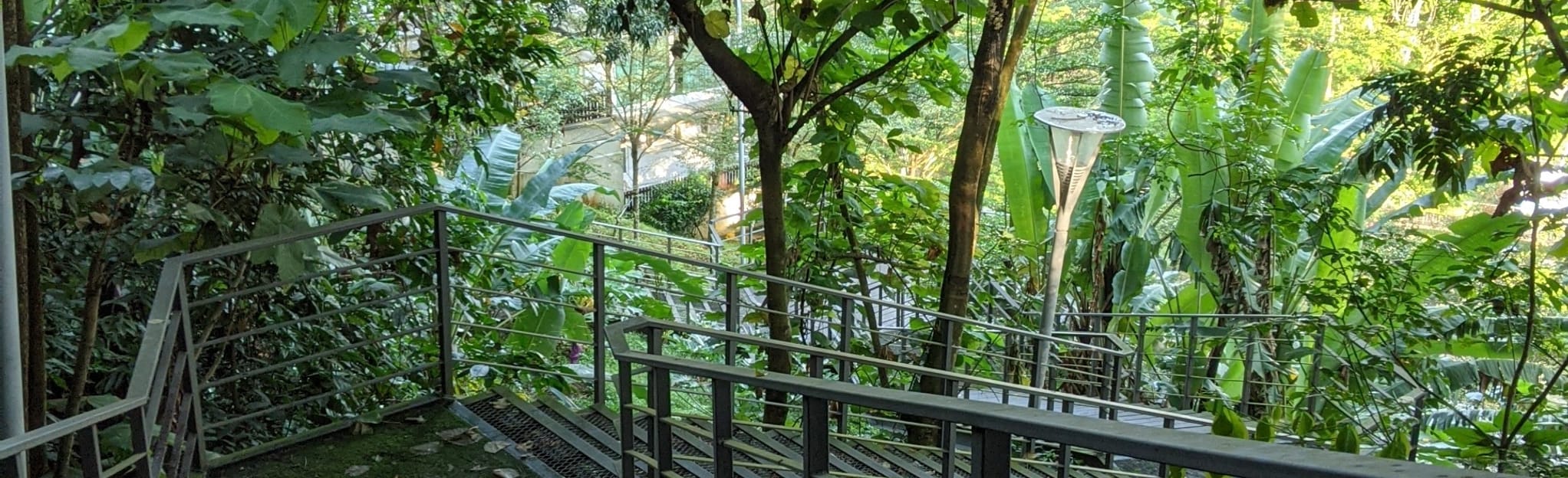 Damansara Lake Loop: 0 Reviews, Map - Selangor, Malaysia | AllTrails