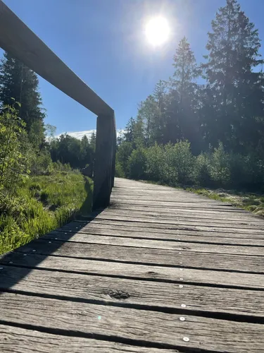 2023 Best Historic Site Trails in Solling-Vogler Nature Park | AllTrails