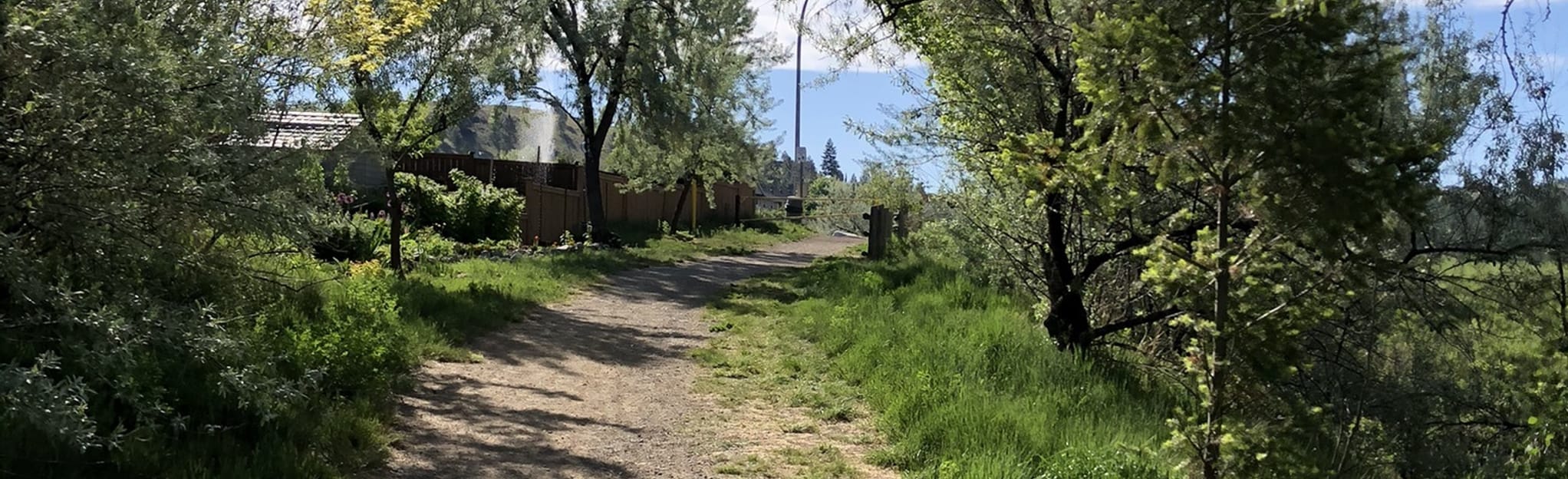 Pineview Valley Park Trail, British Columbia, Canada - 27 Reviews, Map ...