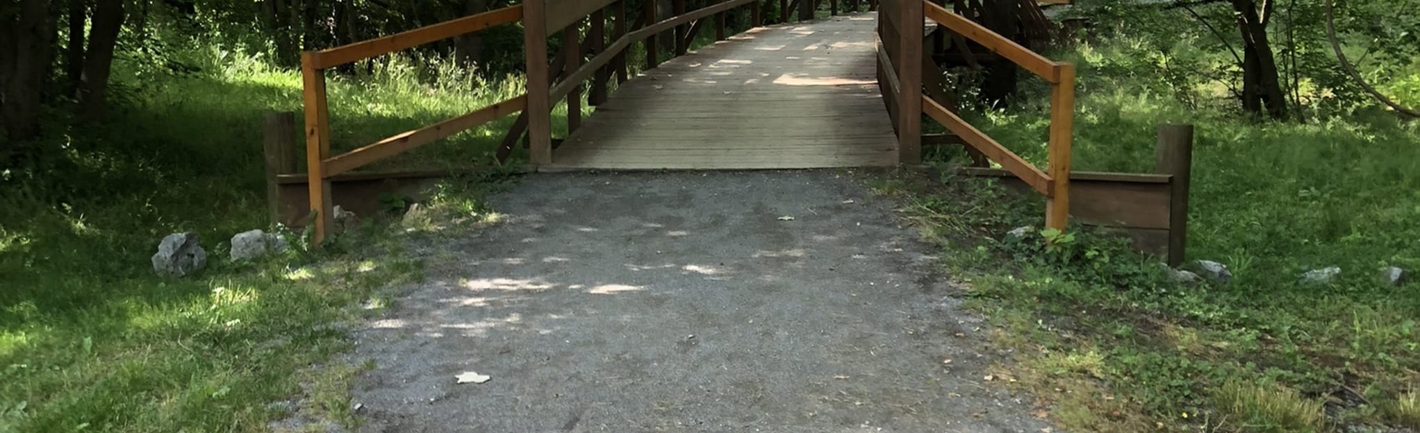 Wolf Creek Greenway: 153 Reviews, Map - Virginia | AllTrails