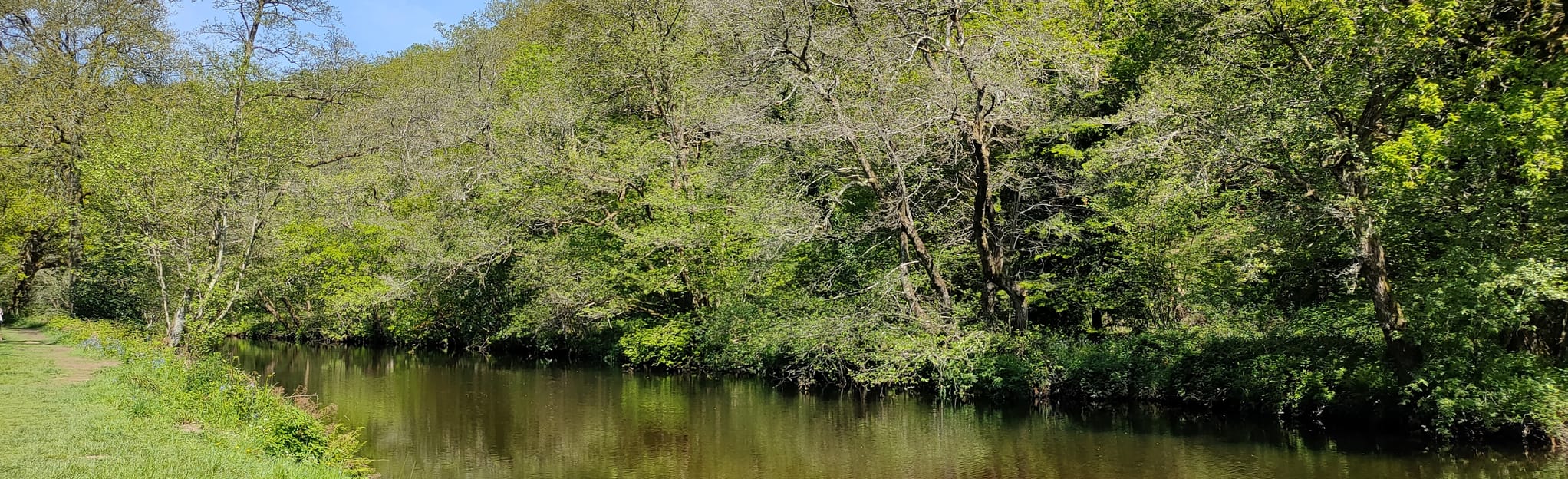 Cod Woods and River Teign Circular: 20 Reviews, Map - Devon, England ...