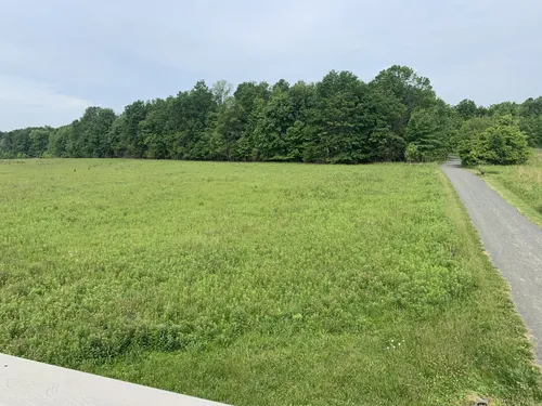 Best Hikes and Trails in Mercer Meadows | AllTrails