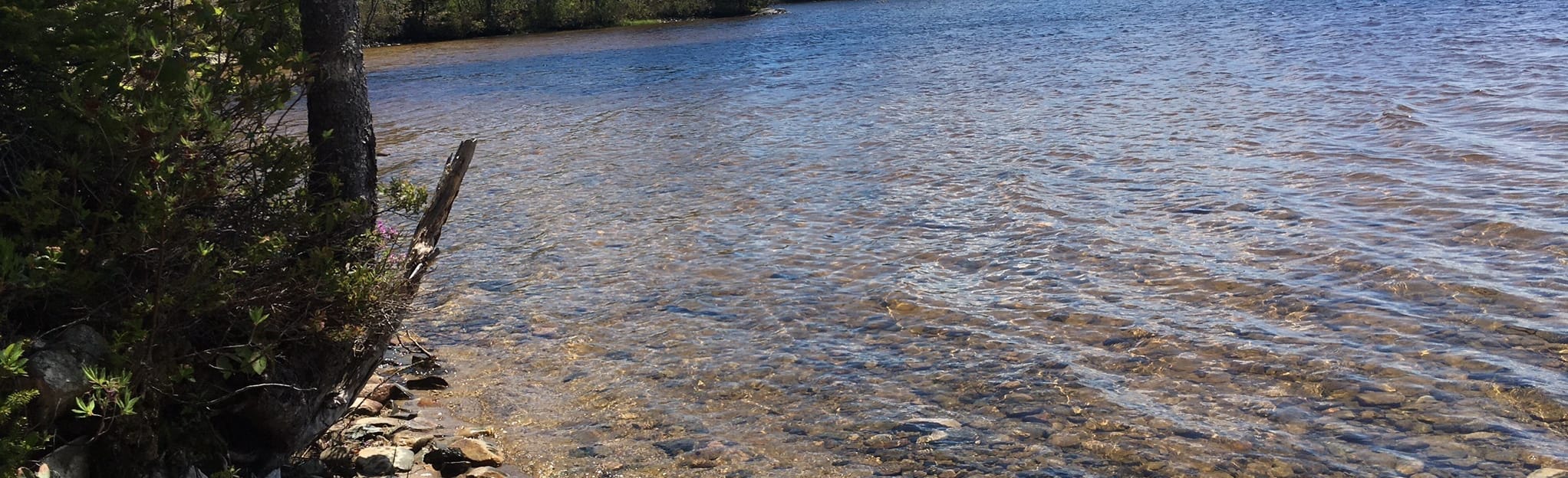 Cousins Lake: 5 foto's - Nova Scotia, Canada | AllTrails