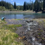 Whits Lakes Spring, Montana - 112 Reviews, Map | AllTrails