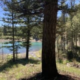 Whits Lakes Spring, Montana - 112 Reviews, Map | AllTrails