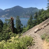 Mitchell Point Trail [CLOSED], Oregon - 485 Reviews, Map | AllTrails